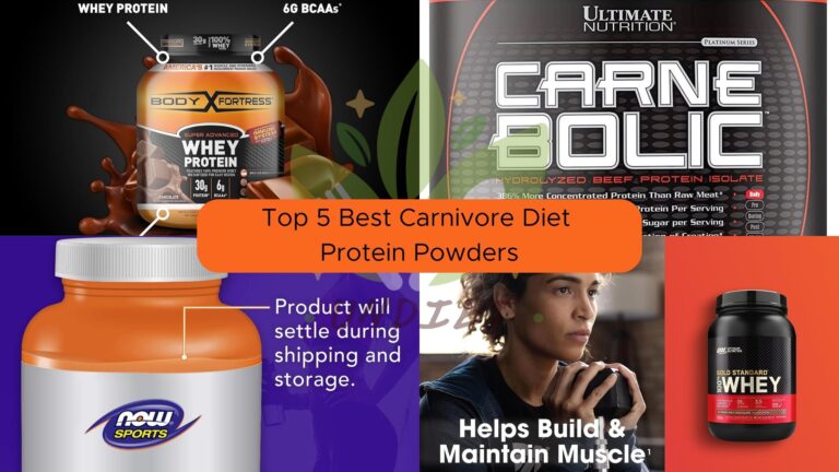 Top 5 Best Carnivore Diet Protein Powders For You
